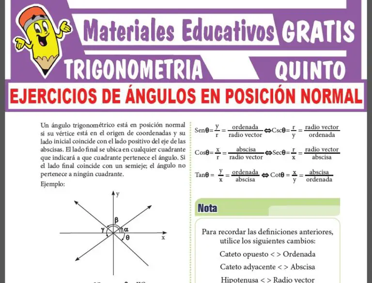 Ejercicios de Ángulos en Posición Normal para Quinto Grado