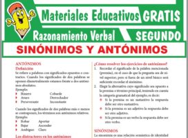 Ejercicios de Sinónimos y Antónimos para Segundo Grado de Secundaria