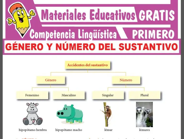 Género y Número del Sustantivo para Primer Grado de Secundaria